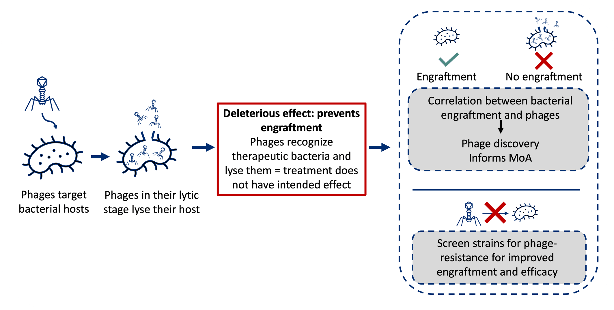 Microbiome Profiling Services | Cmbio Omics