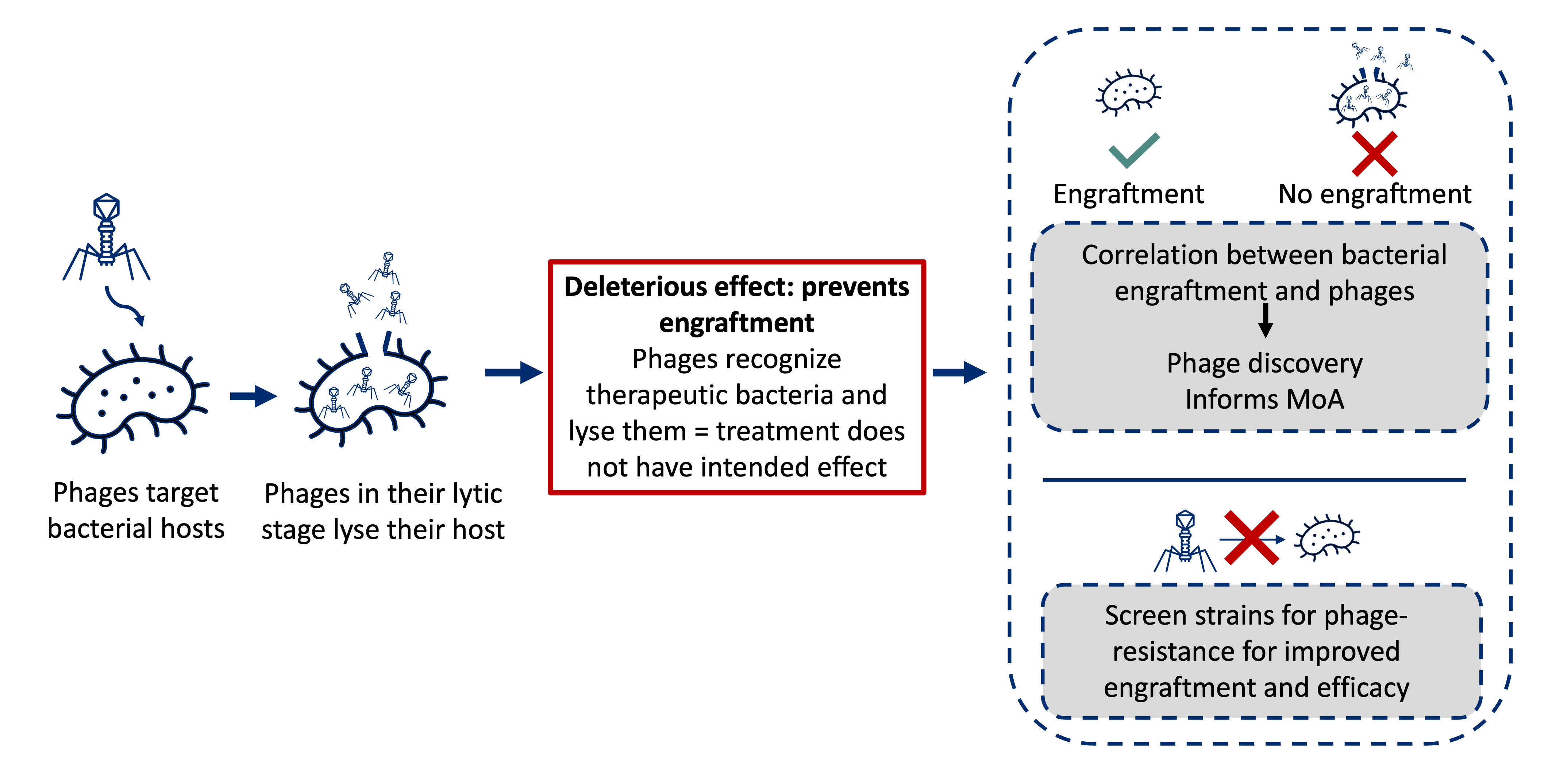 Microbiome Profiling Services | Cmbio Omics
