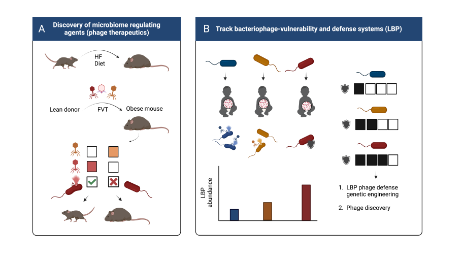 Microbiome Profiling Services | Cmbio Omics