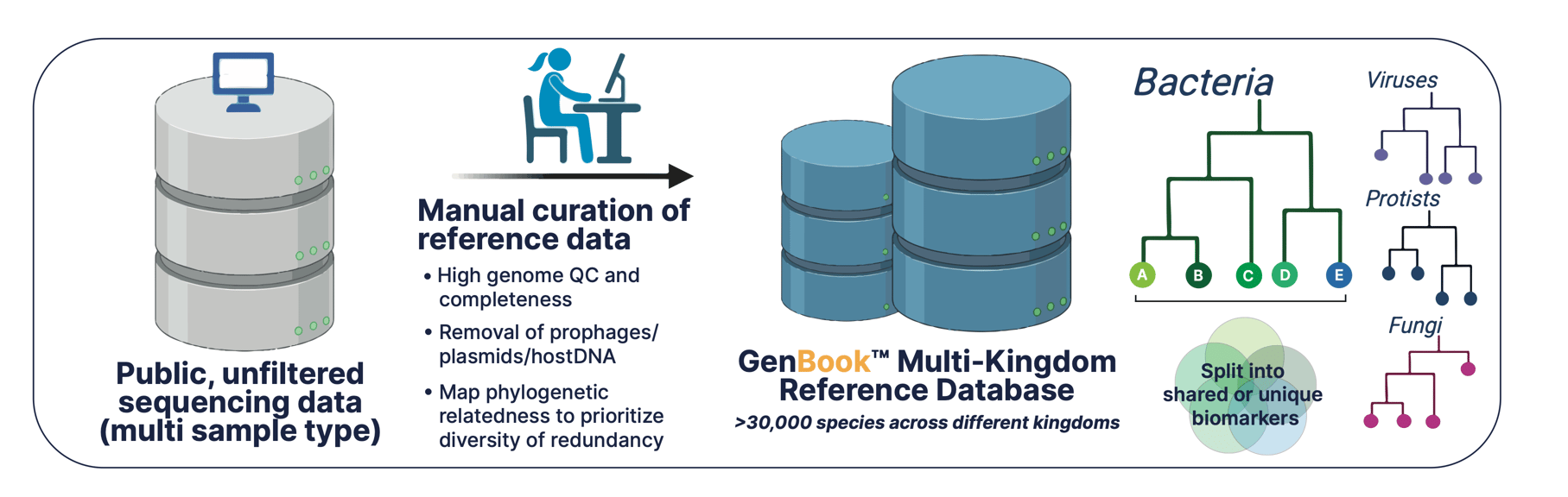 Microbiome Profiling Services | Cmbio Omics