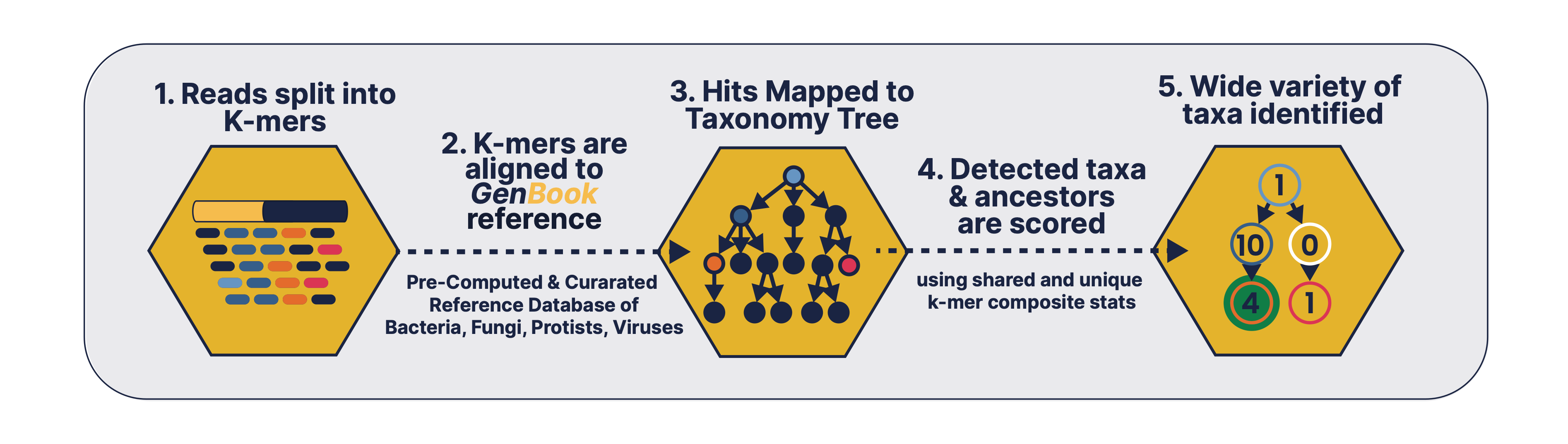 Microbiome Profiling Services Cmbio Omics