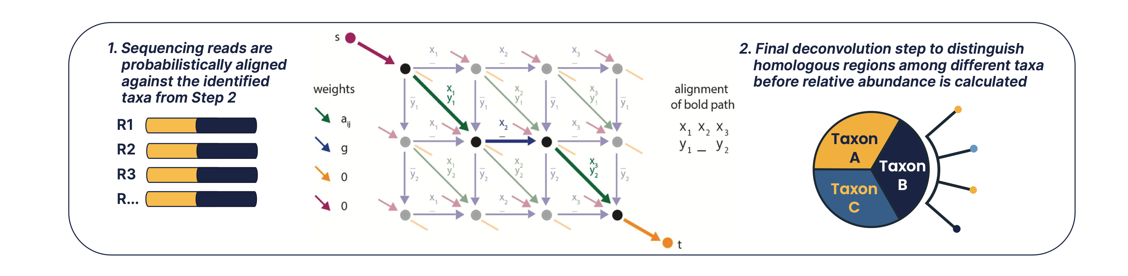 Microbiome Profiling Services | Cmbio Omics