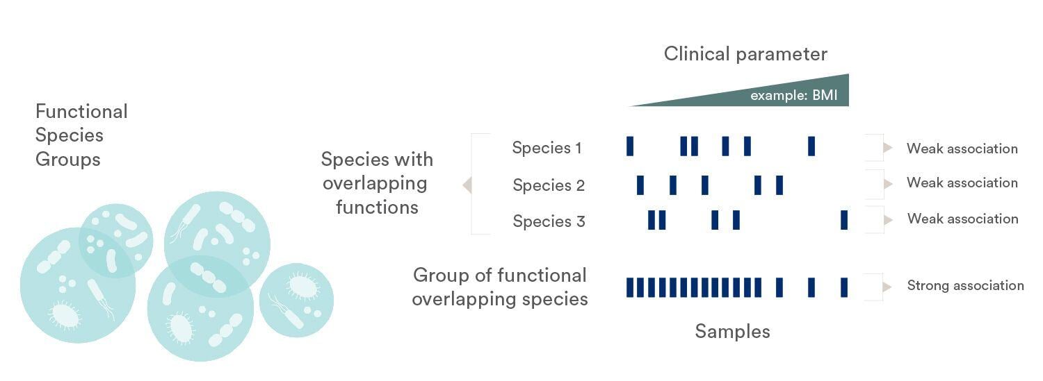 Microbiome Profiling Services | Cmbio Omics